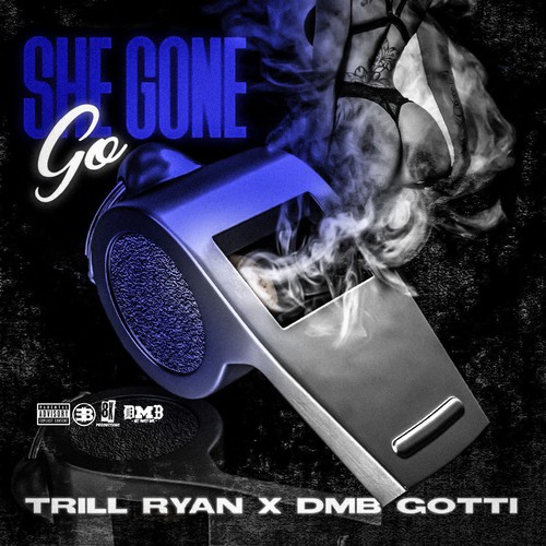 She Gone Go (Remix) (Single) (Explicit) by Dmb Gotti & Trill Ryan - Pandora