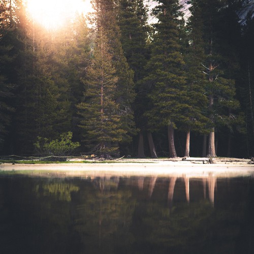 Robert Maxwell on Pandora | Radio, Songs & Lyrics