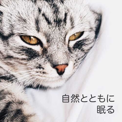 Home, Home on the Range (Slowed & Reverbed) by Caixinha de Música dos ...