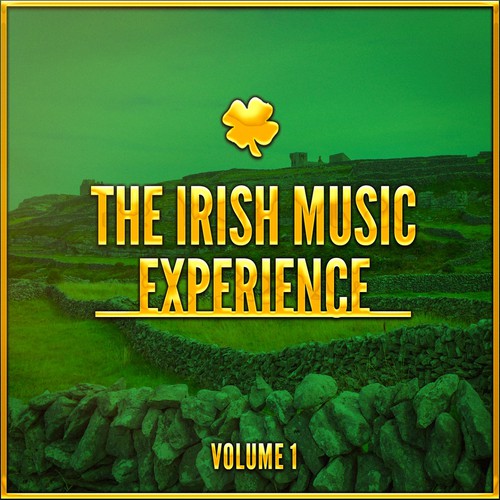 The Irish Music Experience, Vol. 1 (A Selection of Traditional Music ...