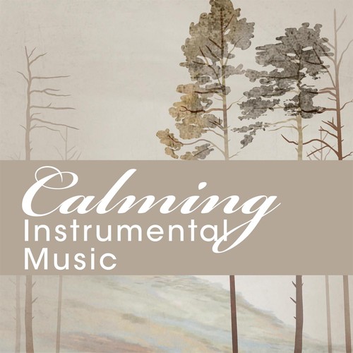 Calming Instrumental Music by Various Artists - Pandora
