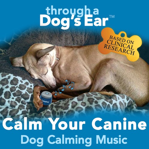 Calm Your Canine: Dog Calming Music by Lisa Spector - Pandora