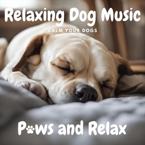 Relaxing Dog Music: Calm Your Dogs by Paws & Relax - Pandora