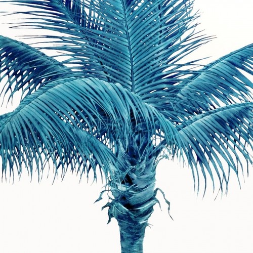 Ava by FAMY - Pandora