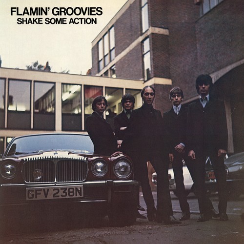 Shake Some Action by Flamin' Groovies - Pandora