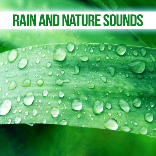 Rain and Nature Sounds – Healing Water Sounds for Stress Relief and ...
