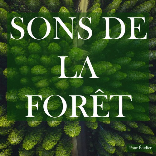 Sons de la Forêt pour Étudier, Pt. 38 by Sons de Pluie Pour Dormir by ...