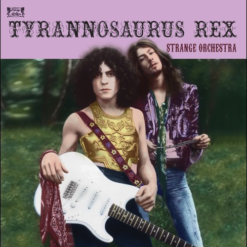 Strange Orchestra Volume Two by T. Rex (Tyrannosaurus Rex) - Pandora