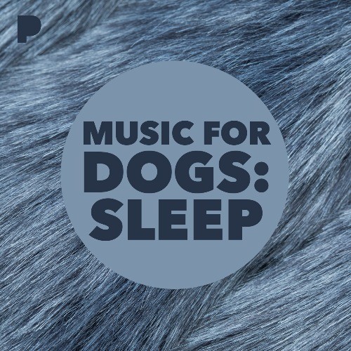 Music For Dogs: Sleep Music - Listen to Music For Dogs: Sleep - Free on ...
