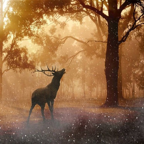 T.Rex on Pandora | Radio, Songs & Lyrics