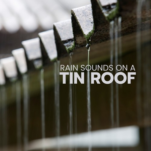 Rain Sounds on a Tin Roof (P01) by Background Noise From TraxLab ...