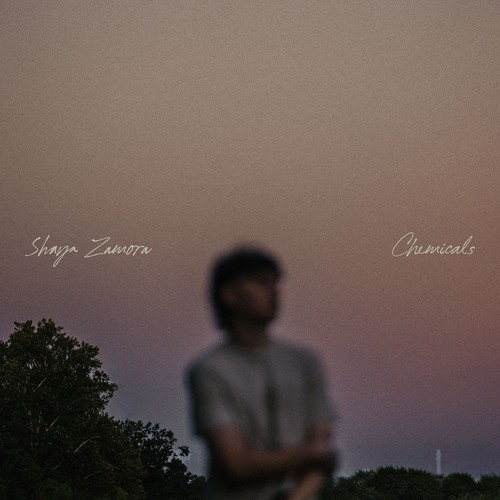 Chemicals by Shaya Zamora - Pandora