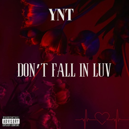 YNT on Pandora | Radio, Songs & Lyrics