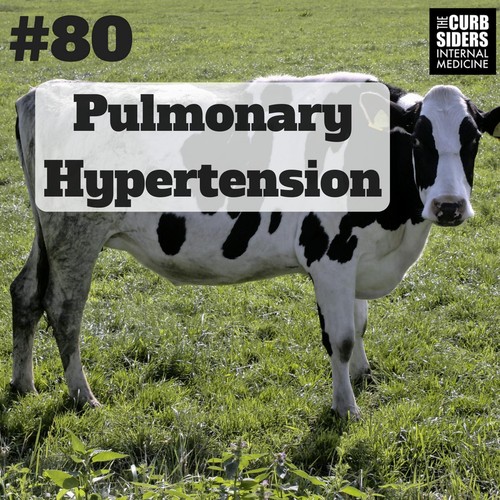 The Curbsiders Internal Medicine Podcast Podcast - "#80 Pulmonary ...