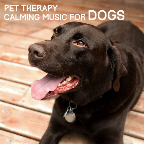 Pet Therapy - Calming Music for Dogs by Various Artists - Pandora