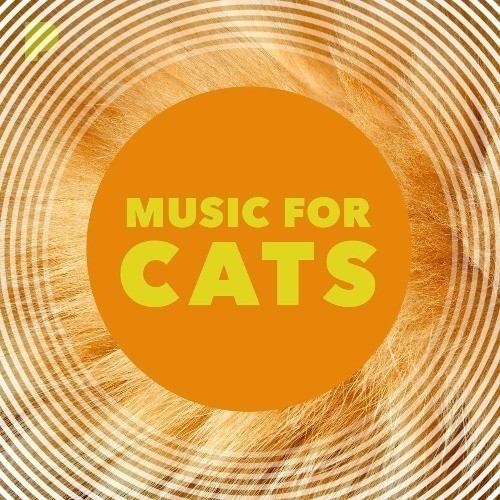 Music For Cats Music - Listen to Music For Cats - Free on Pandora ...