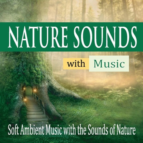 Nature Sounds With Music: Soft Ambient Music With the Sounds of Nature ...