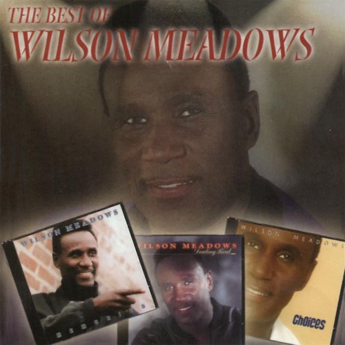 The Best Of Wilson Meadows by Wilson Meadows - Pandora