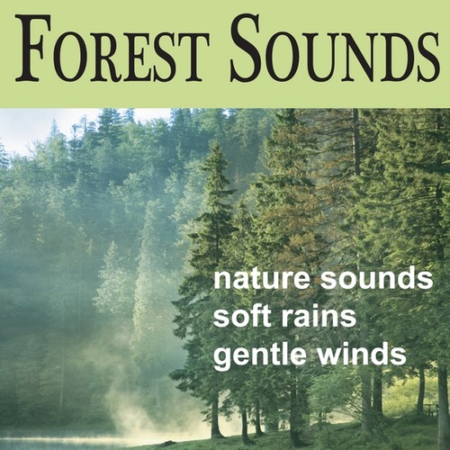 Forest Sounds: Soft Breezes, Songbirds, Rains, Sounds of Nature, Echoes ...