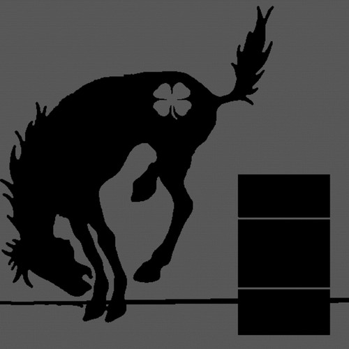 Barrel Racer Land by Kenny Feidler - Pandora