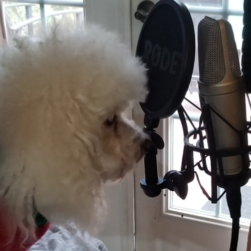 Slave to the Poodle on Pandora | Radio, Songs & Lyrics