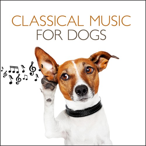 Classical Music For Dogs by Various Artists - Pandora