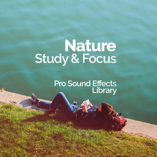 Listen to Pro Sound Effects Library | Pandora Music & Radio
